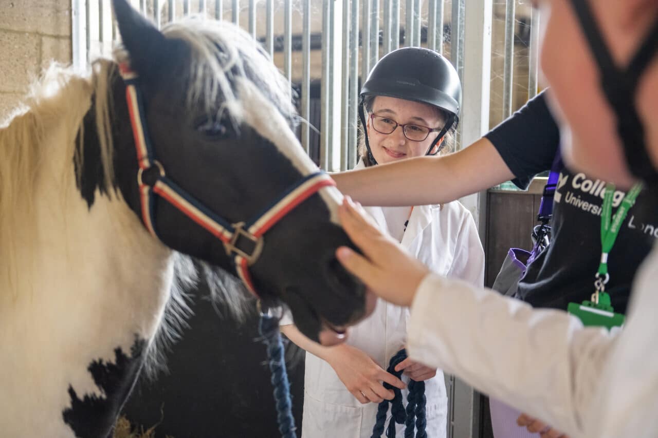 Sutton Trust Pathways